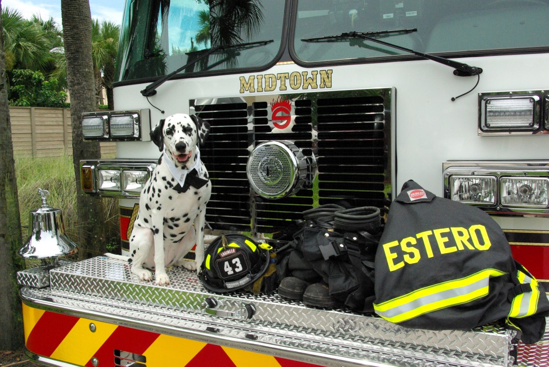 Ember, Estero Fire Rescue | Estero Fire Rescue
